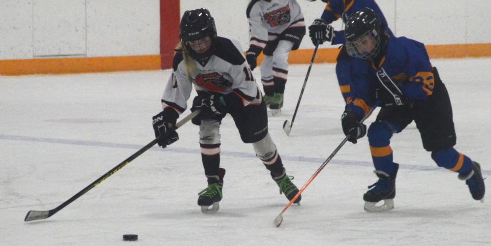Waseca girls 10U wins Sleigh & Cutter Tracy Jevning Tournament | News ...