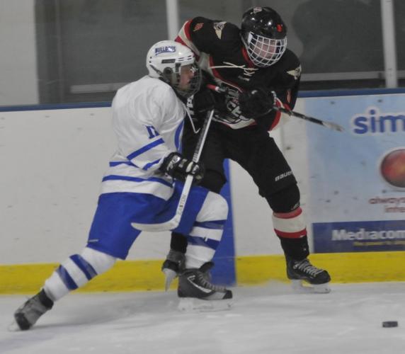 Bulldogs fall to Aces 4-2 | Sports | southernminn.com