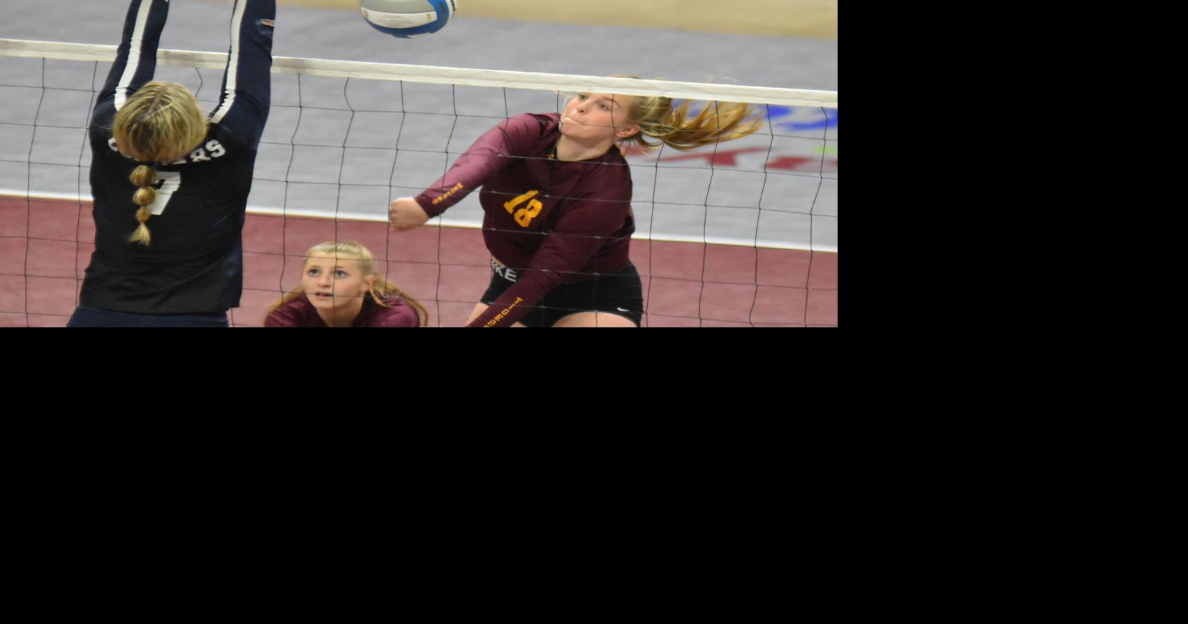 Tigers battle tough in Section 1AA quarterfinal loss to Zumbrota ...