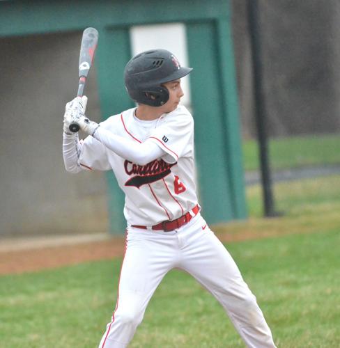 2018 Faribault Daily News All-Area Baseball Team | Sports ...