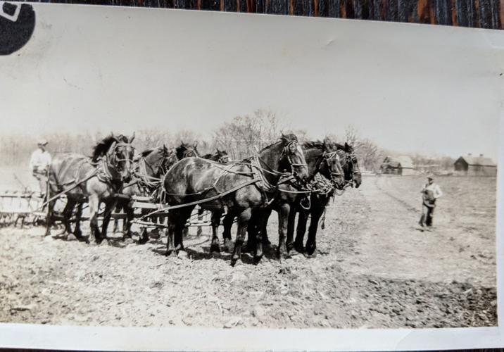 Waseca's Sommers family farm honored for over 150 years | News ...