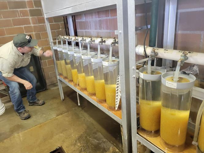 DNR jump starts northern pike spawning | Sports | southernminn.com