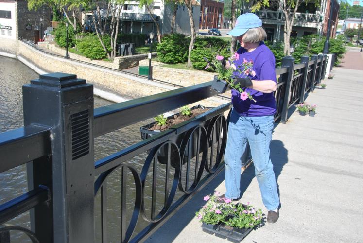 Dedication to public gardening makes Judy Code a Living Treasure | News ...