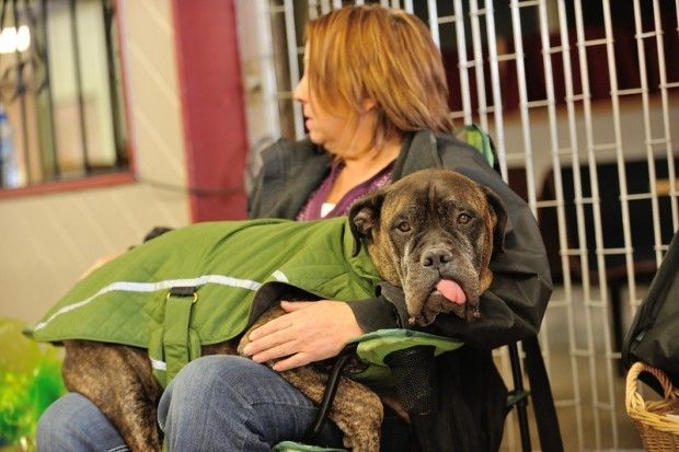 Faribault nonprofits plan fundraisers for shelters, support services ...