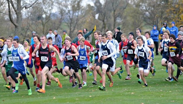 St. Peter young runners step up to state | Sports | southernminn.com