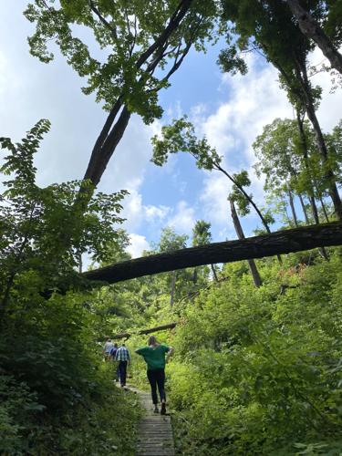 Parks tour gives commissioners a close up view of 'amazing' county ...