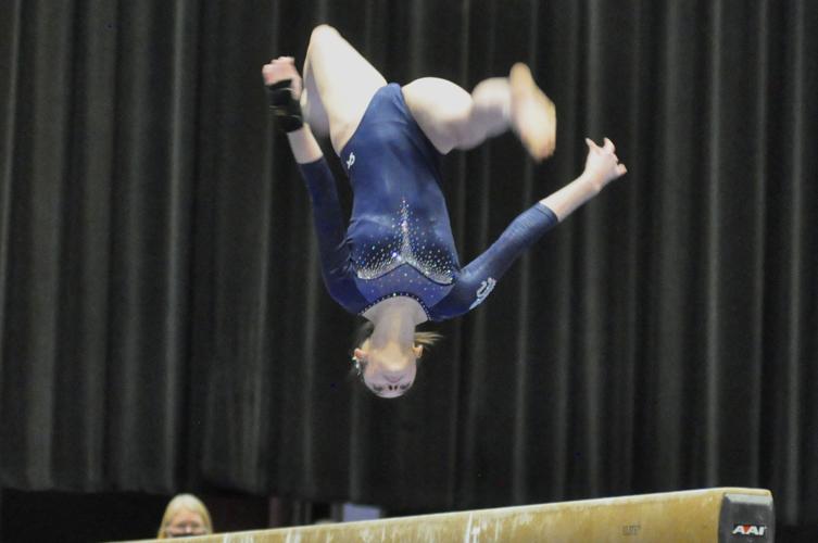 Tish, Landsom represent St. Peter in MSHSL state competition | Sports ...