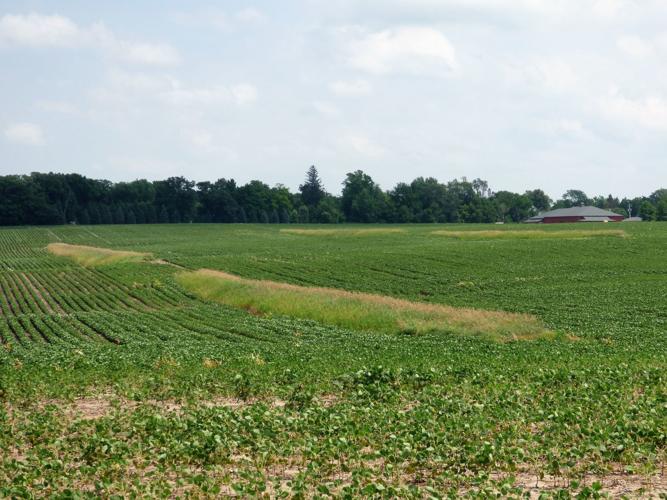 Nerstrand farmers honored for conservation efforts | Community ...