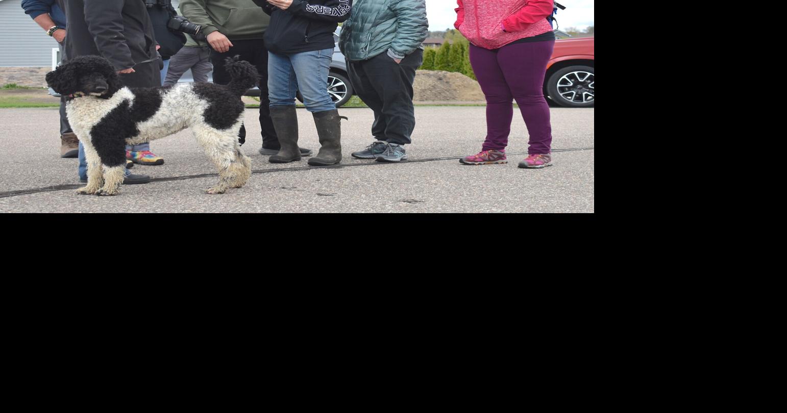 The Retrievers take to the air to improve their success finding lost ...