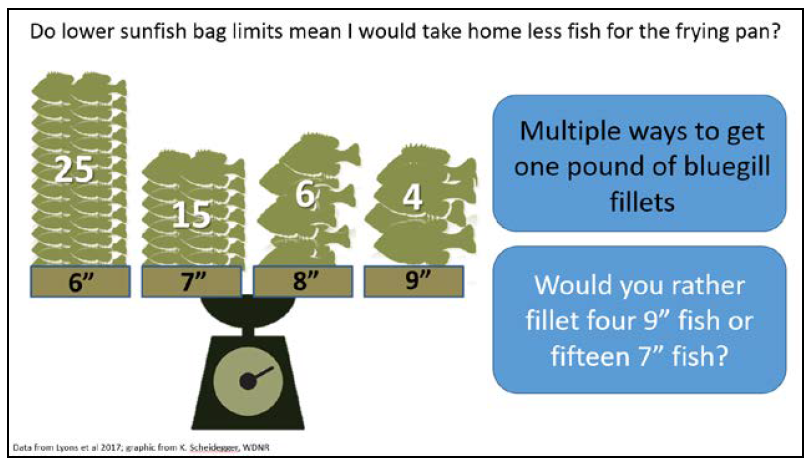 DNR hopes reducing sunfish limits will increase size, asks for feedback ...