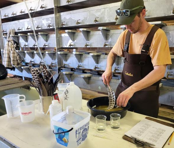 DNR jump starts northern pike spawning | Sports | southernminn.com