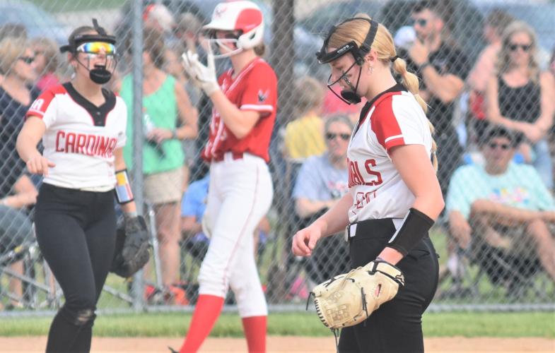 Wilson lights out in the circle, Cardinals return to Section 1A title ...