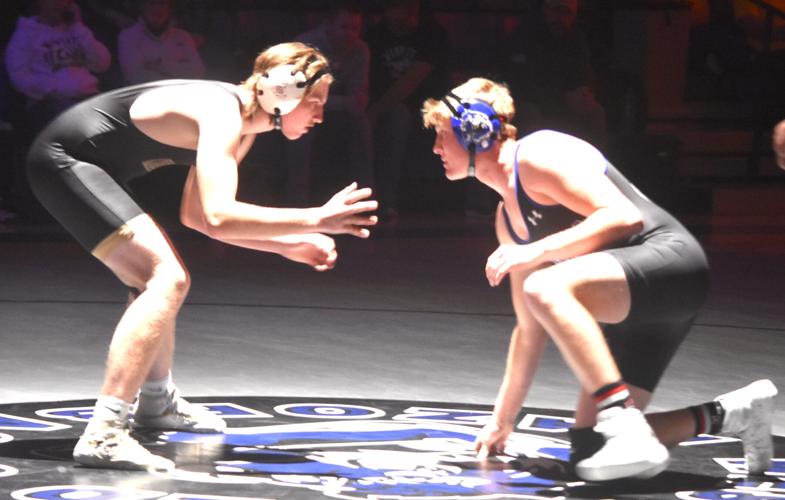 Razorbacks and Tigers compete at Westfield meet alongside Cougars ...