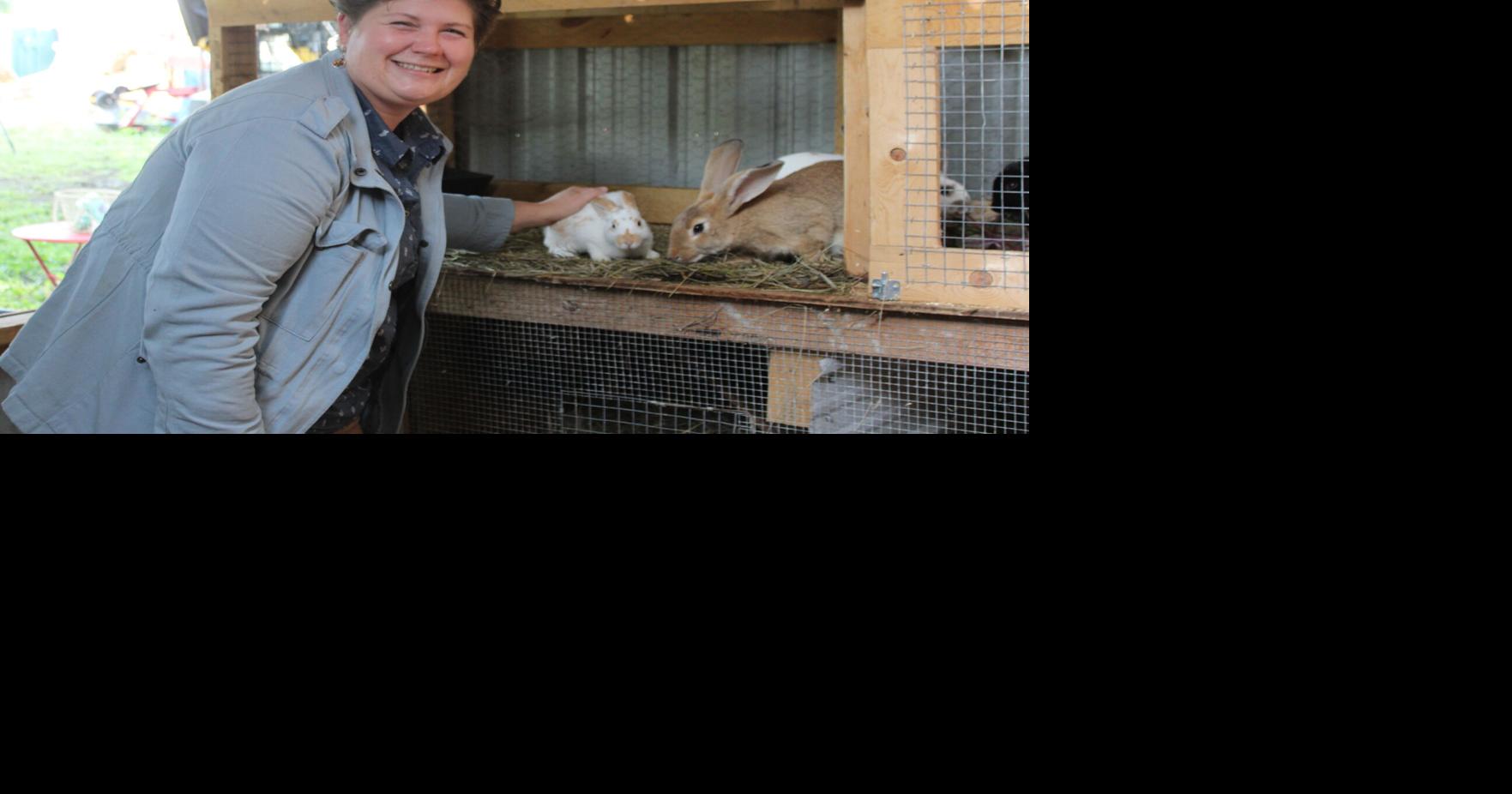 Animals, nature act as therapy, mental health aid at Dennison farm ...