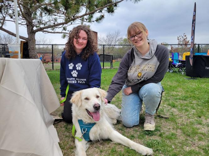 PAWS Carnival catches crowds in second year | News | southernminn.com