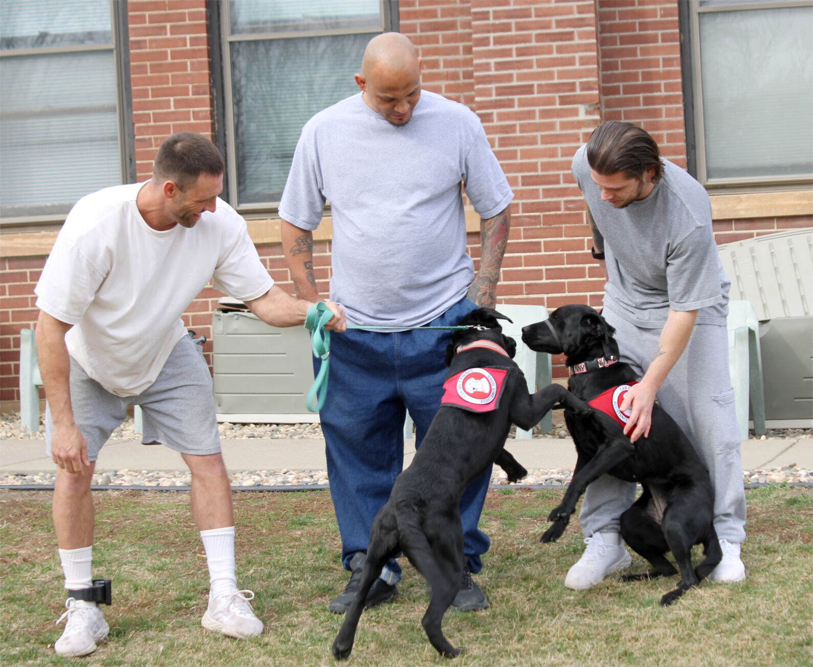 PREVIEW: Prisoners welcome new puppies as program returns | News ...