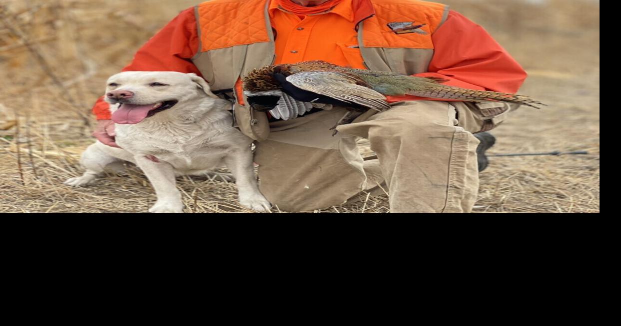 A LIFE WELL LIVED: Community remembers Jim Killen as acclaimed artist ...