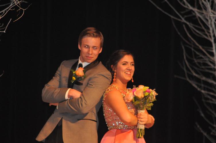 A Winter Wonderland: Le Sueur-Henderson hosts 2017 prom | News | southernminn.com