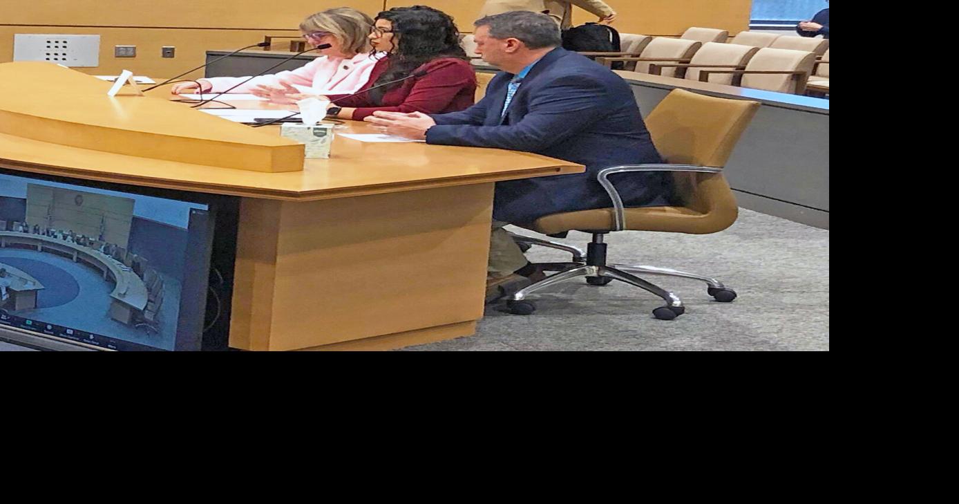 Korbel testifies on behalf of food shelf emergency funding bill | News ...