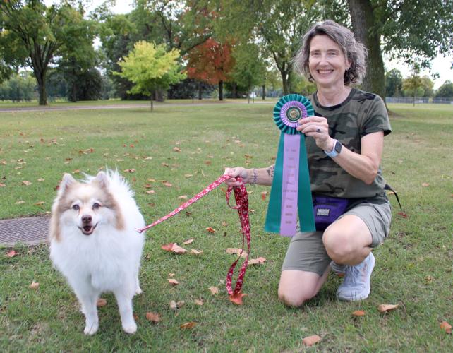 Dogs can be dogs when they do scent work | News | southernminn.com