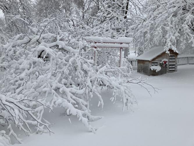 Southern Minnesota blanketed by 8-10 inches of snow in late season ...