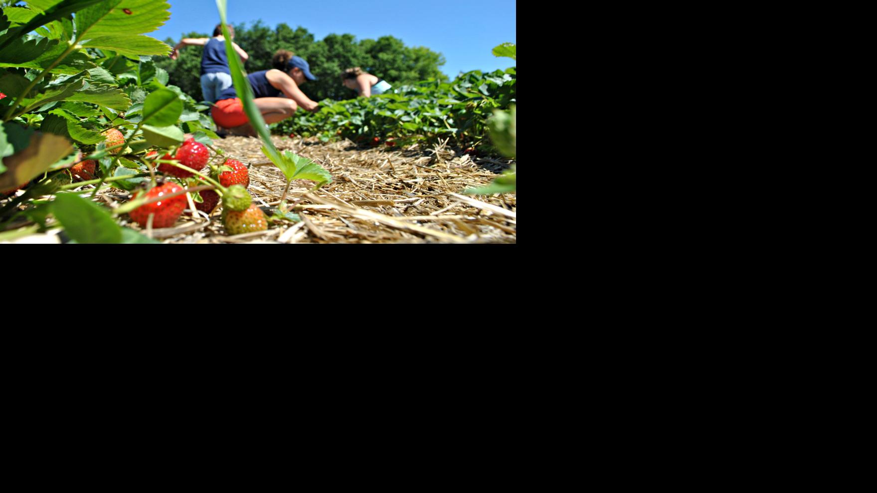 Southern Minn Scene | southernminn.com