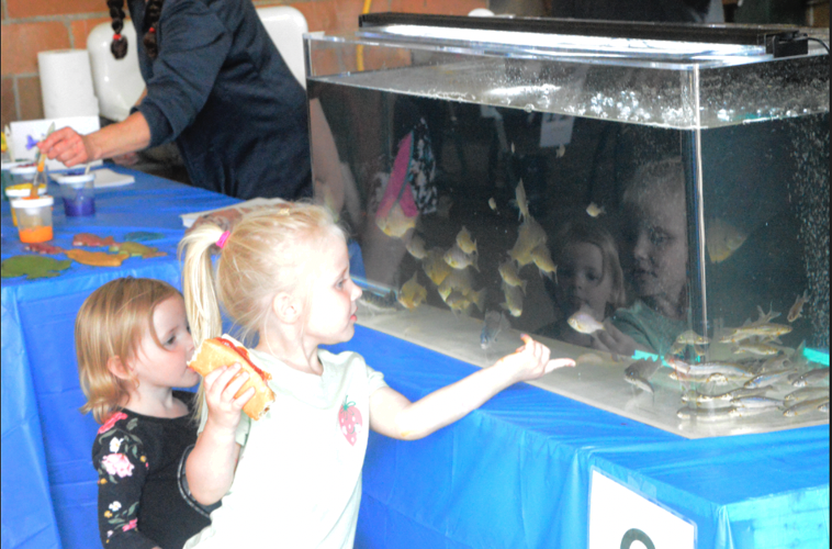 Governor’s Fishing Opener kicked off in Waterville | News ...