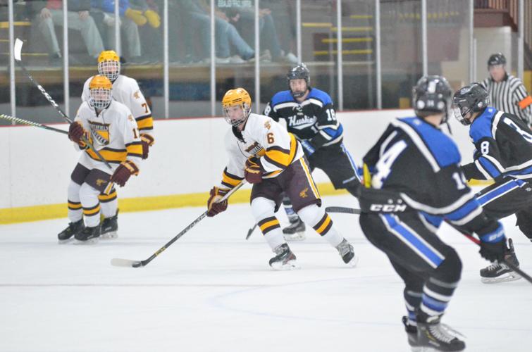 Owatonna stifles Northfield boys hockey | Sports | southernminn.com