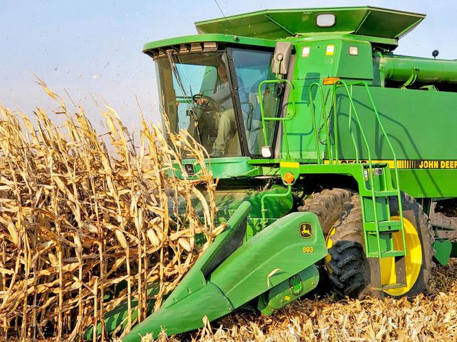 Borns hope farm will stay in the family for another 100 years | News ...