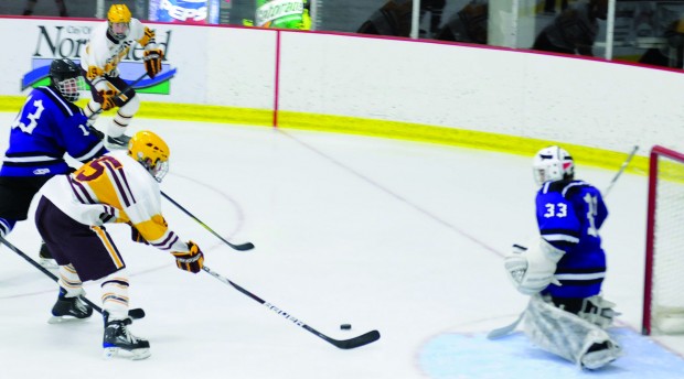 Northfield boys hockey beats New Ulm in home opener | Sports ...