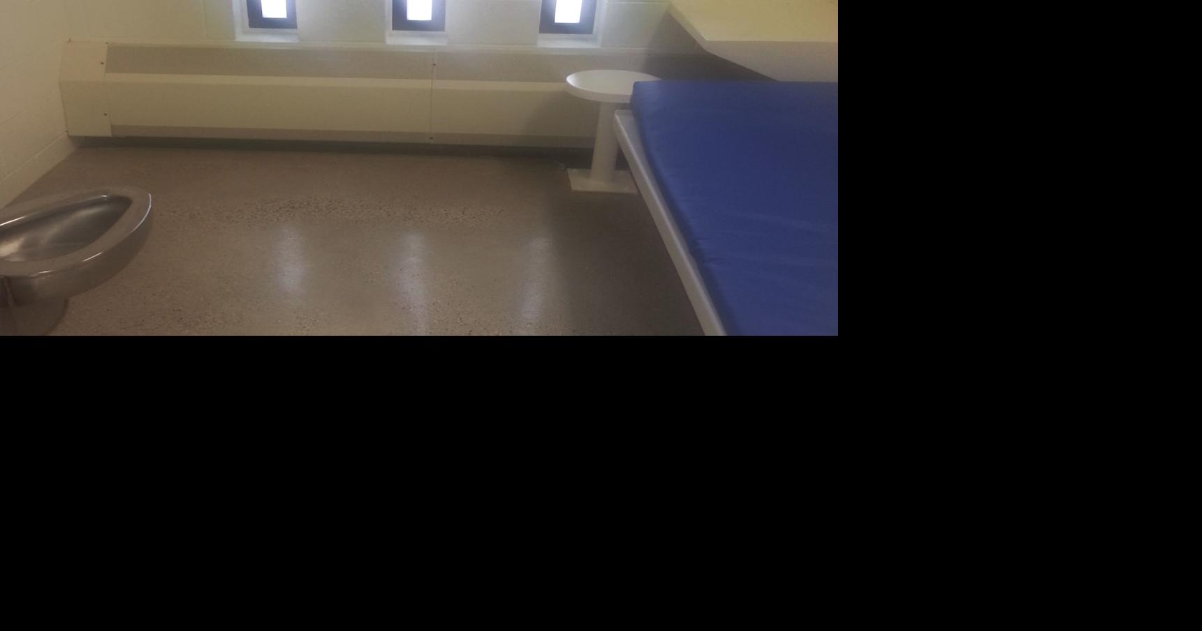 Increased mental health, medical services at Rice County jail follows ...