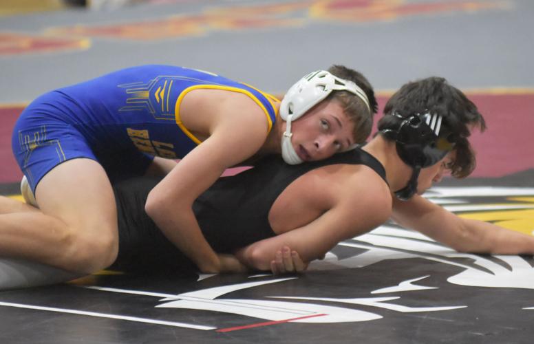 Doherty and Wilson punch tickets to state as Giants compete in ...