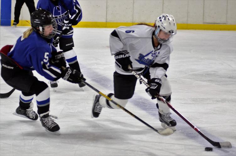 Switching positions propels Weick to 4 goals in Bulldogs' 12-1 win over ...