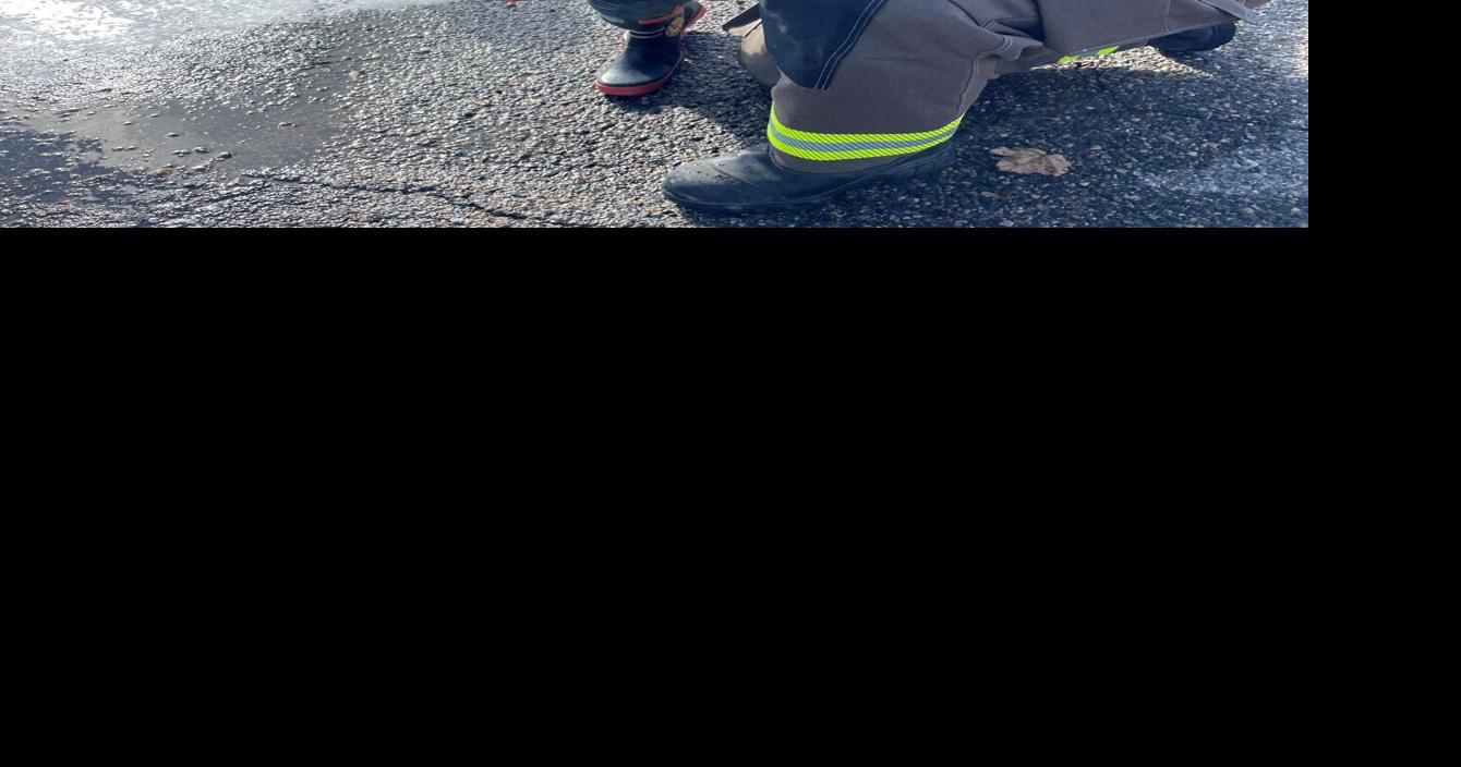 coyle 7.jpg | | southernminn.com