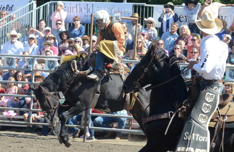 GALLERY: PRCA Rodeo features everything from mutton busting to bucking ...