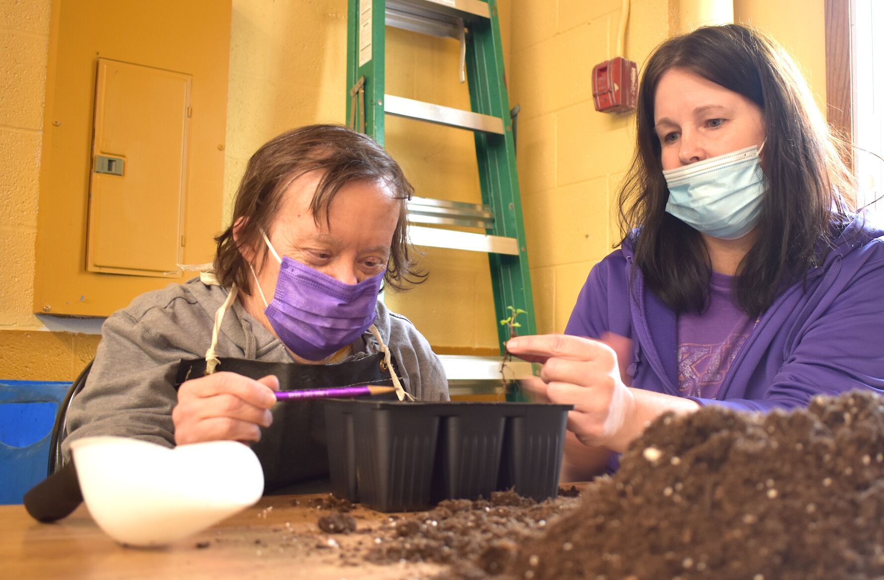 Jobs sought for adults with developmental disabilities | News ...