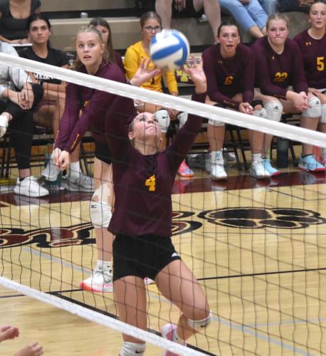 Tigers win against Bulldogs after Southwest Minnesota Challenge ...