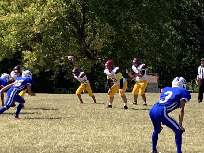 MSAD takes road loss at Kansas Academy 46-12 | Sports | southernminn.com