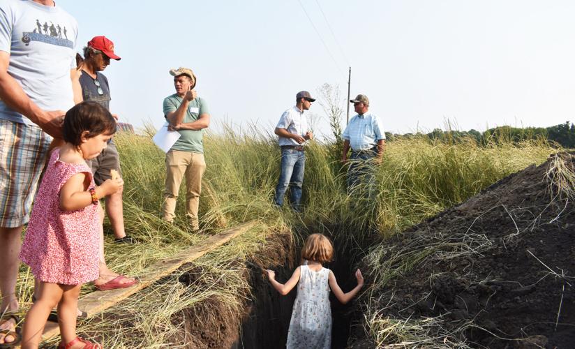 Kernza takes another leap locally, debuts in River Rock bread, LocAle ...