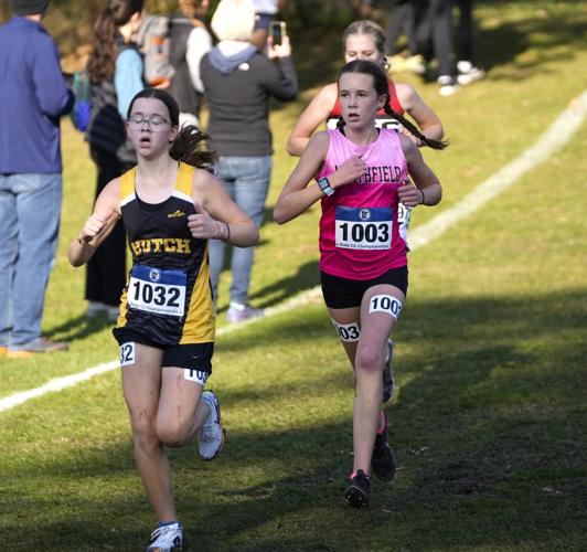 PHOTOS: Northfield at Class AA state cross country | Sports ...