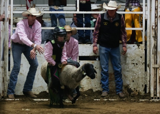 New grandstand entertainment at the Le Sueur County Fair | Local ...