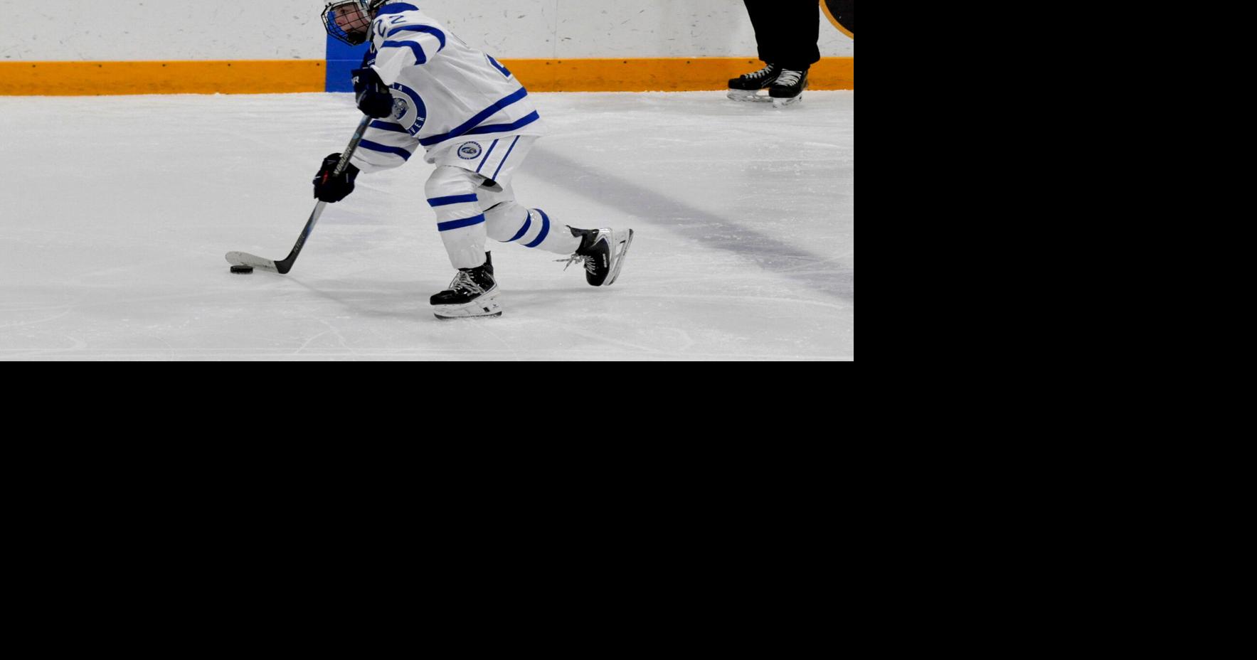 3rd period goal gives Minnesota River girls 3-2 victory over River ...