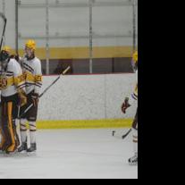 Foss posts shutout, Northfield boys hockey tops Winona to open section ...