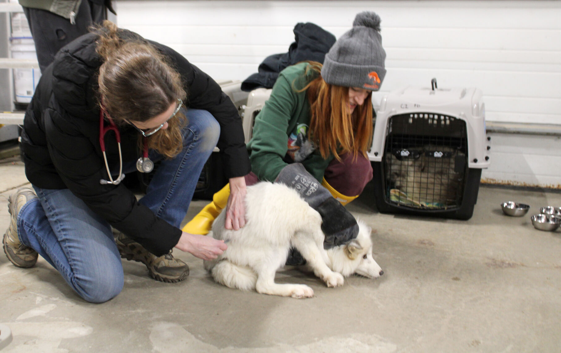 SaveAFox's Mikayla Raines 'gave her life' to saving animals | News ...