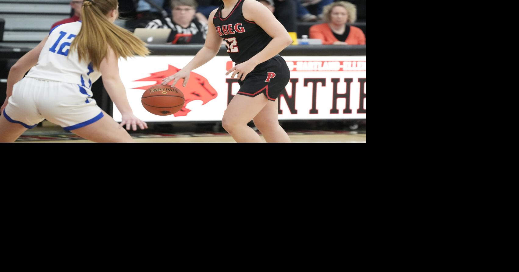 PHOTOS: NRHEG vs Waseca (2AA Girls Basketball) | Sports | southernminn.com