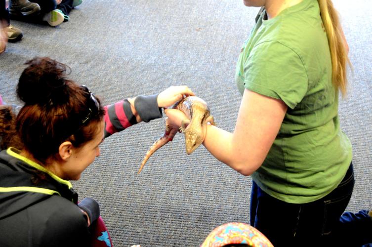 GALLERY: 'Scaly Tails' a hit for small crowd at River Bend | News ...