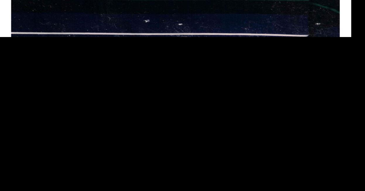 DeAnna Marie DeeDee Riesing | Obituaries | southernminn.com