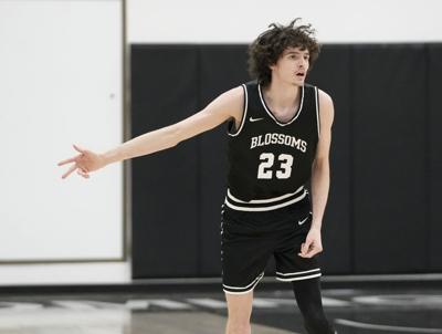 Hein breaks 3 school records in BP win over Alden-Conger | Sports ...