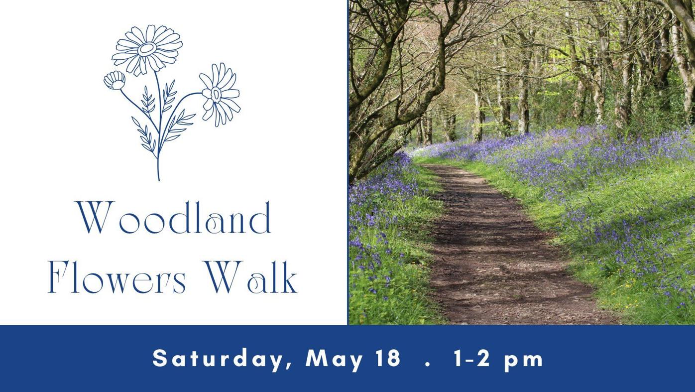 Woodland Flowers Walk - Faribault | Scene | southernminn.com