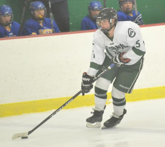 FHS girls hockey erases three-goal deficit in win vs. Waseca | Sports ...